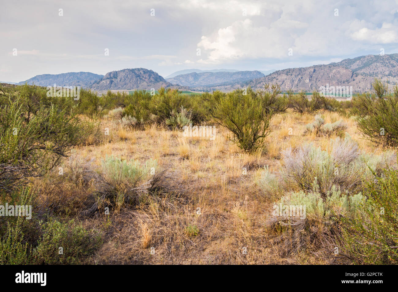 Osoyoos Desert Centre, BC, Canada, is 67 acre nature interpretive ...