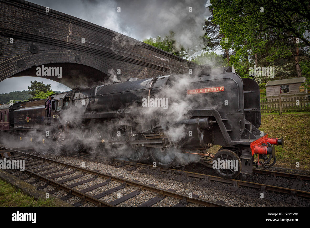 Steam Train passing under a bridge on the North Norfolk railway Stock ...
