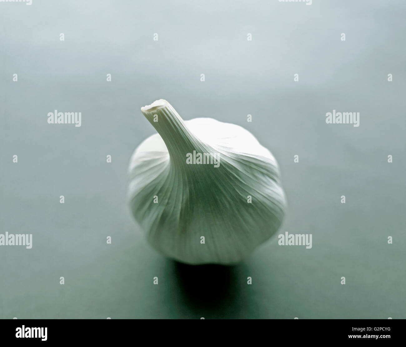 White garlic hi-res stock photography and images - Alamy
