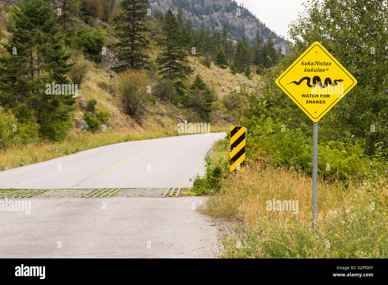 Dual language rattlesnake warning sign in English and Nsyilxcen, the ...