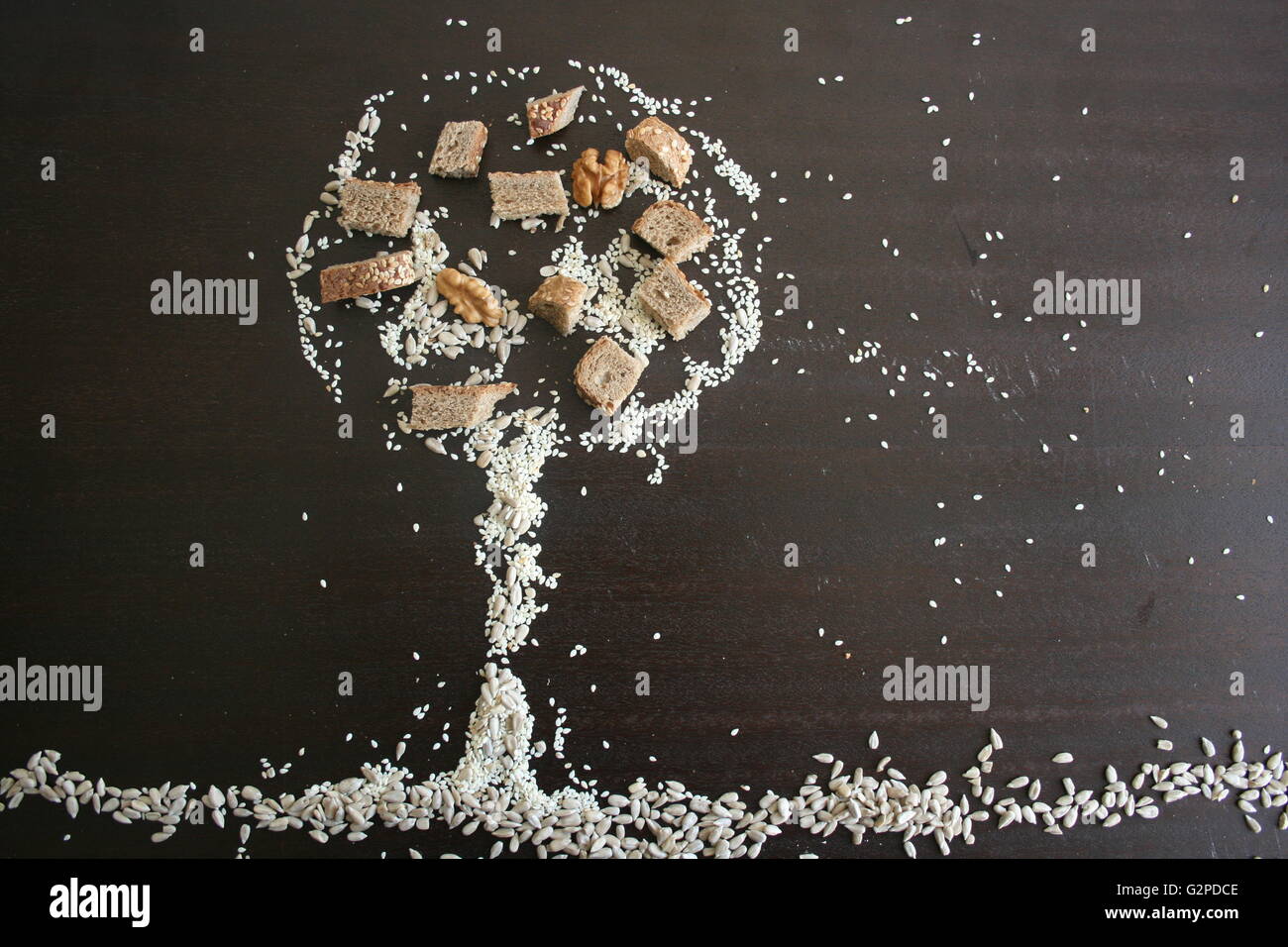 Tree shape of collection cereal grains and seeds and bread Stock Photo ...