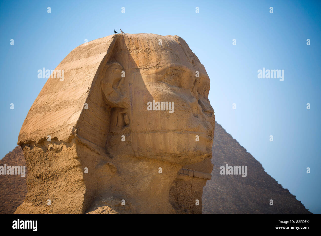 Guardian Sphinx guarding the tombs of the pharaohs in Giza. Cairo ...
