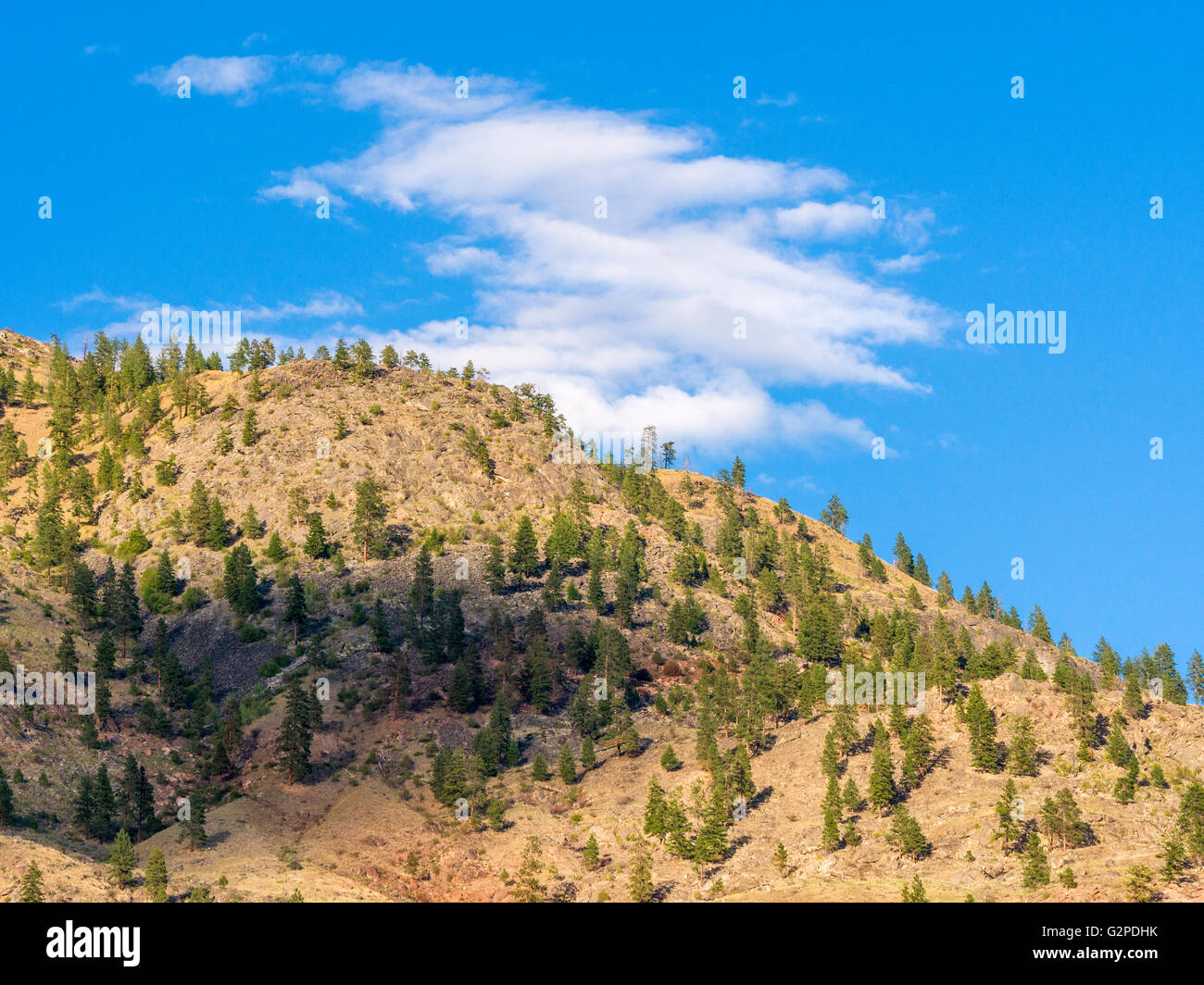 Indian Ridge Resort High Resolution Stock Photography and Images - Alamy