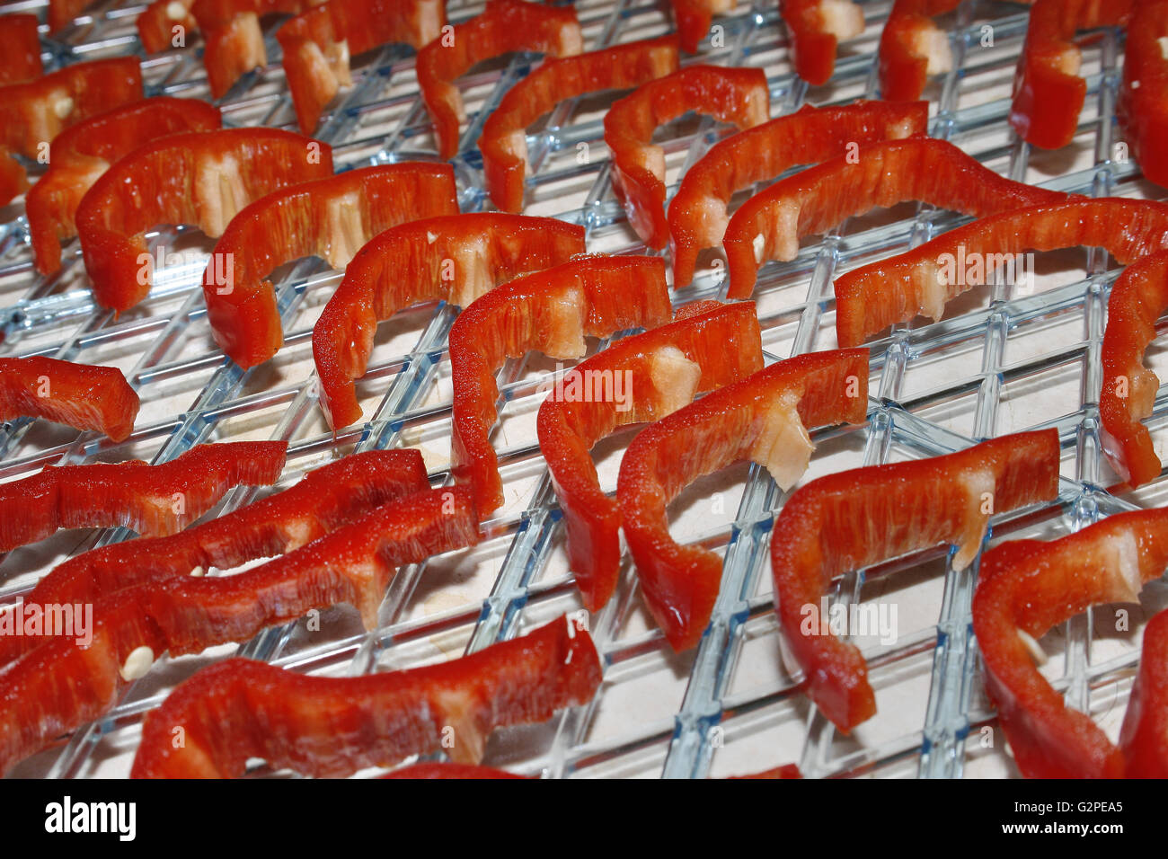 sweet red peppers on dehydrating tray Capsicum Stock Photo - Alamy
