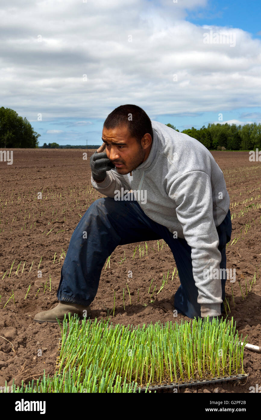 Farmers people seasonal workers hi-res stock photography and images - Alamy