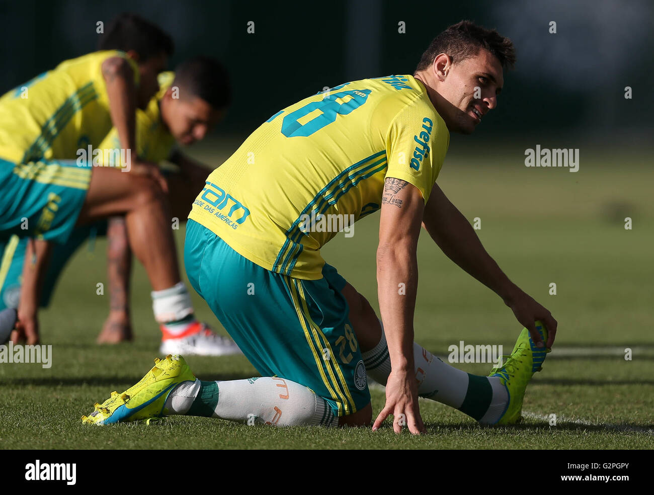 SAO PAULO, Brazil - 01/06/2016: TRAINING OF PALM TREES - Moses, player ...