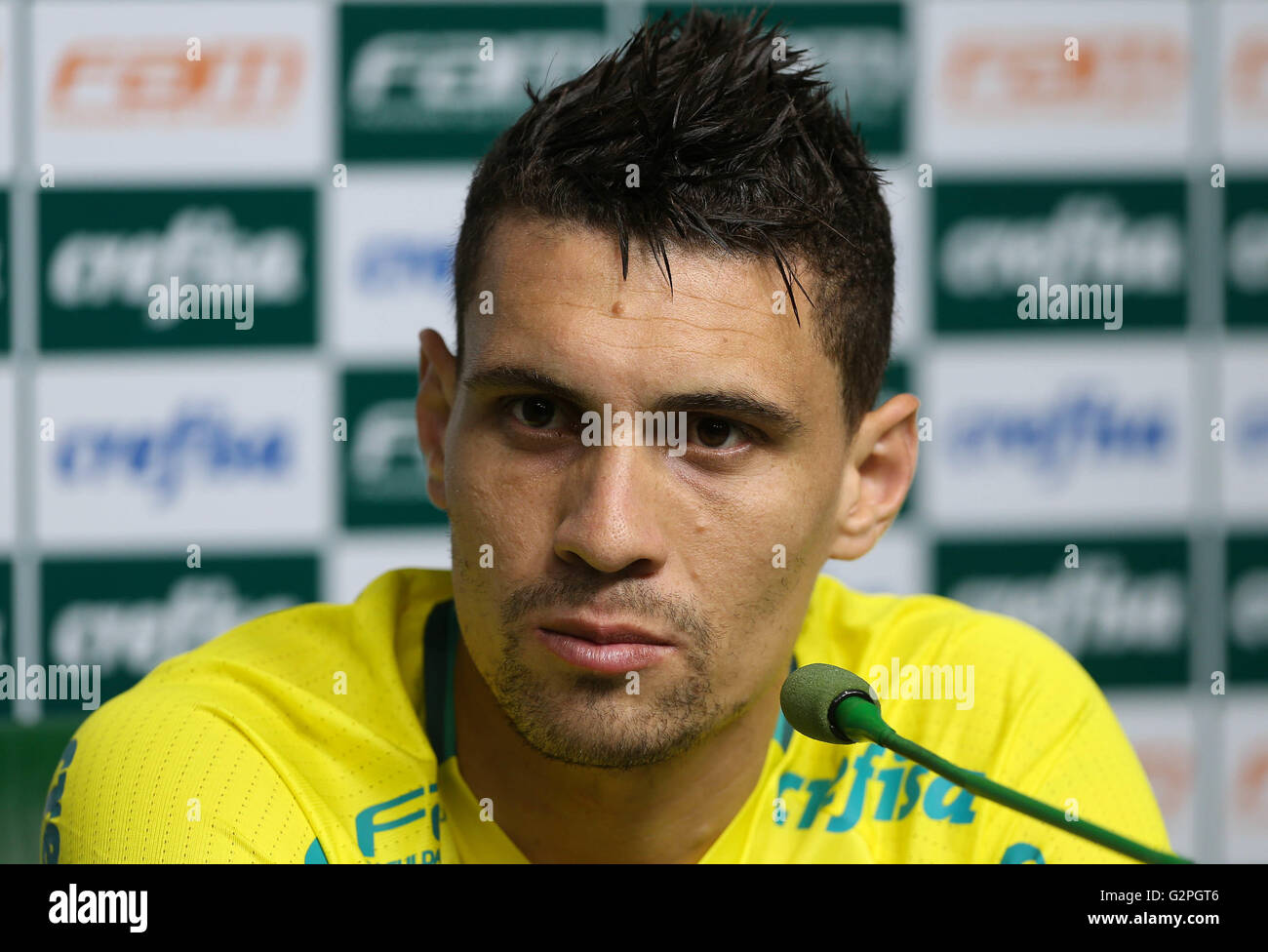 SAO PAULO, Brazil - 01/06/2016: TRAINING OF TREES - The Moses player ...