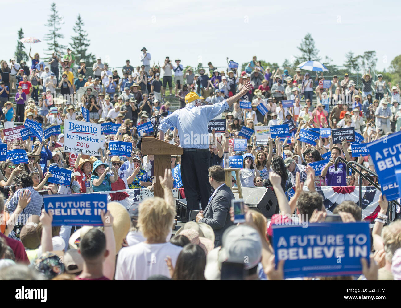 Palo Alto, California, USA. 1st June, 2016. Sen. BERNIE SANDERS draws a ...