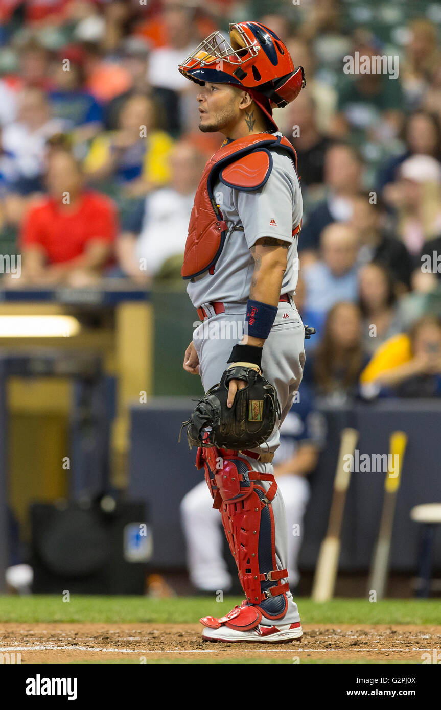 Milwaukee, WI, USA. 31st May, 2016. St. Louis Cardinals catcher Yadier ...