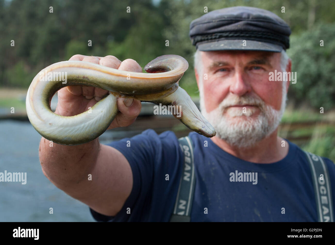 Ruegen, Germany. 31st May, 2016. Juergen Krieger stands on his fishing ...