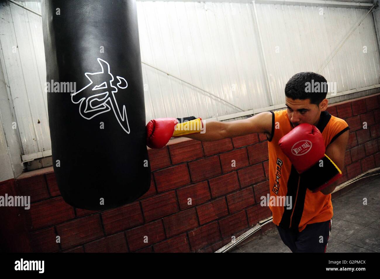 Damascus, Syria. 1st June, 2016. A boxer from Syria's national boxing ...