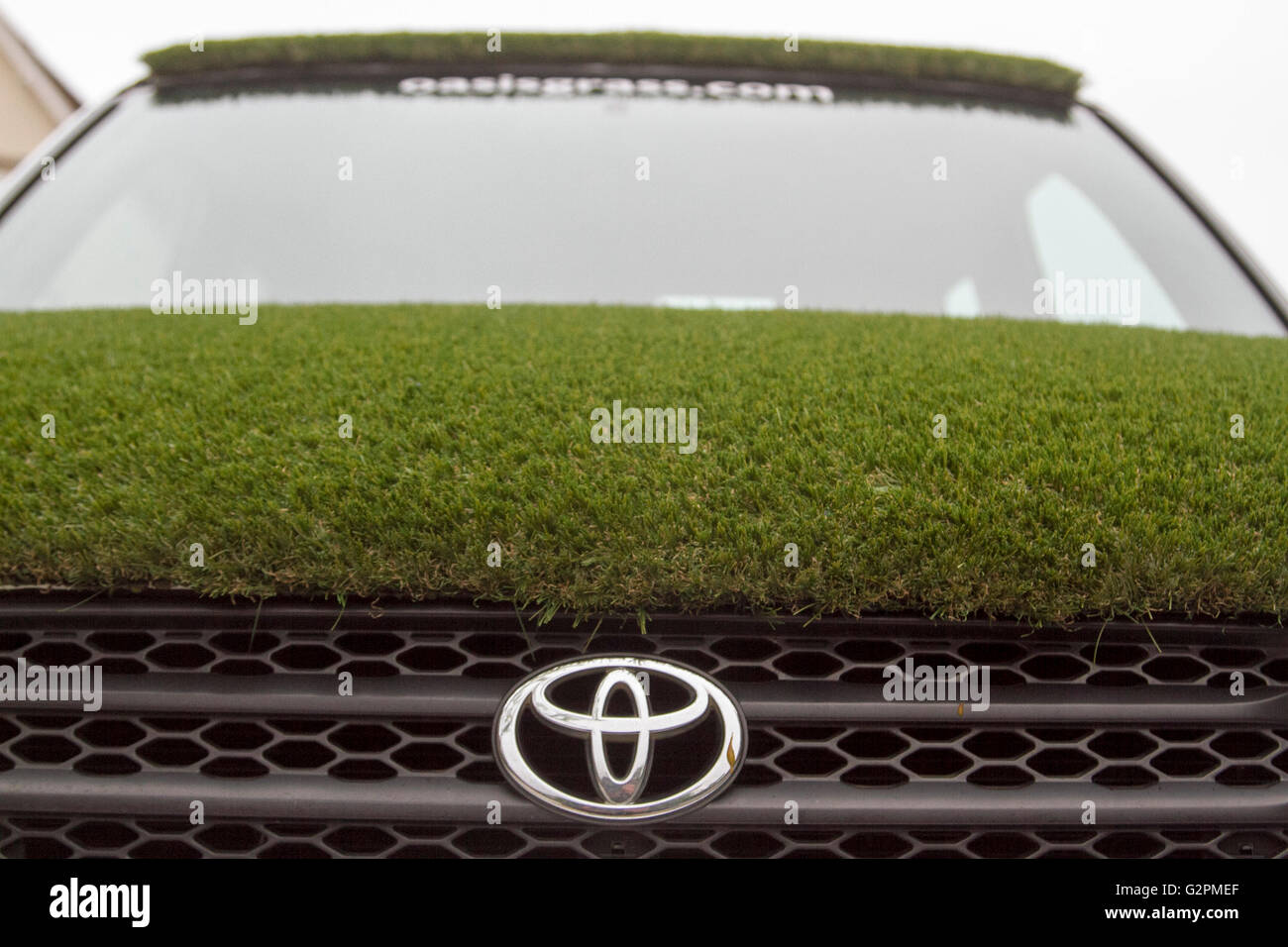 Car Covered In Artificial Grass High Resolution Stock Photography and ...