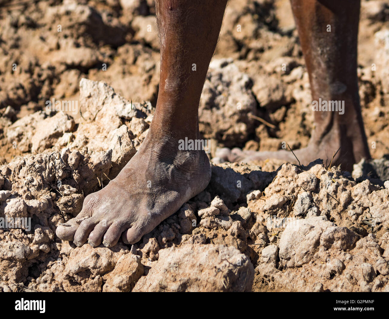 Lern hi-res stock photography and images - Alamy