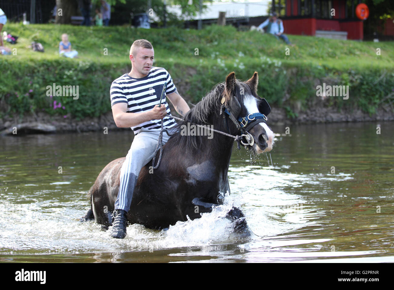 Appleby-in-Westmorland, Cumbria, UK. 02nd June, 2016. Appleby Horse ...