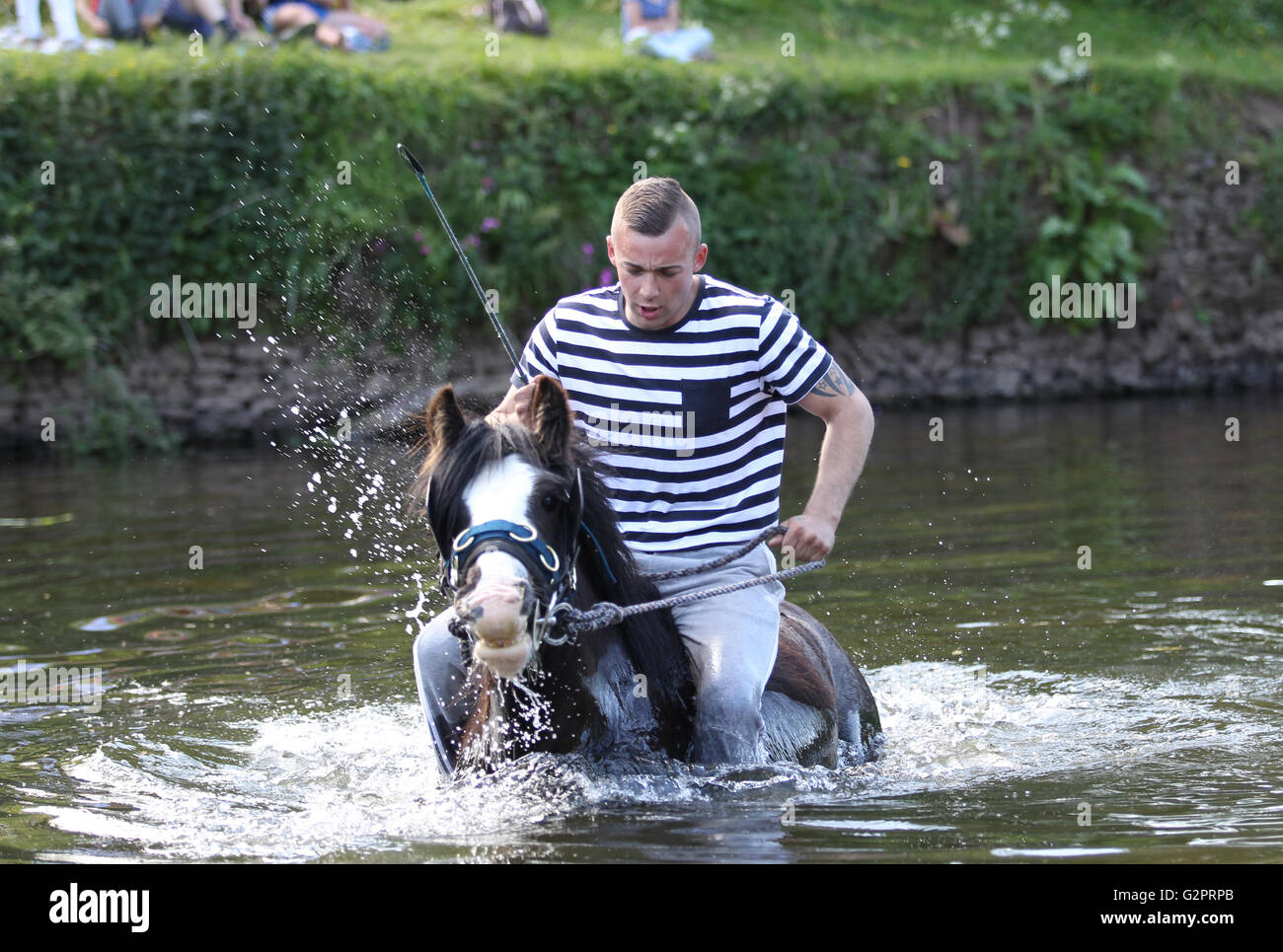 Appleby 2016 hi-res stock photography and images - Alamy