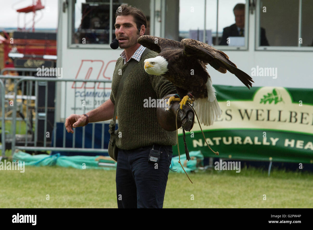 Shepton Mallet, UK. 2nd June, 2016. Birds of Prey Display at the Bath ...