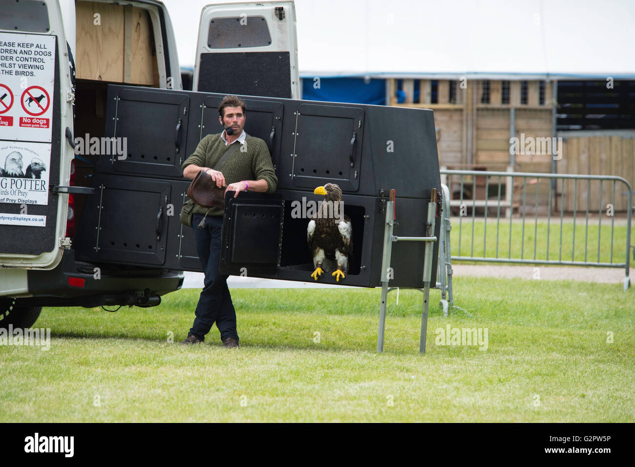 Shepton Mallet, UK. 2nd June, 2016. Birds of Prey Display at the Bath ...