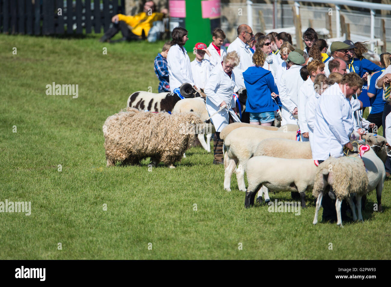 Shepton Mallet, UK. 31st May, 2016. DESCRIPTION OF PHOTO at the Bath ...