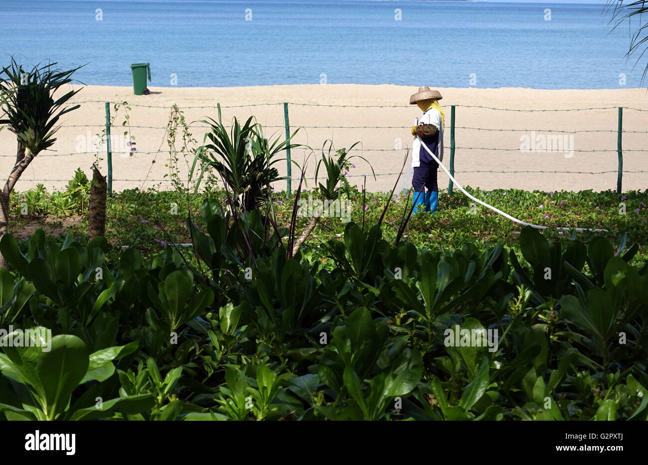 Haikou, China's Hainan Province. 25th May, 2016. A worker waters plants ...