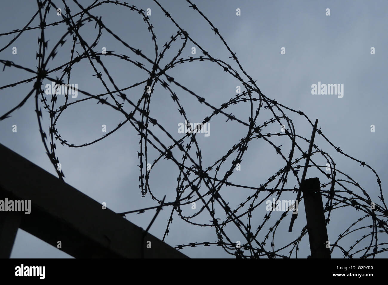 top of barbed wire fence Stock Photo - Alamy