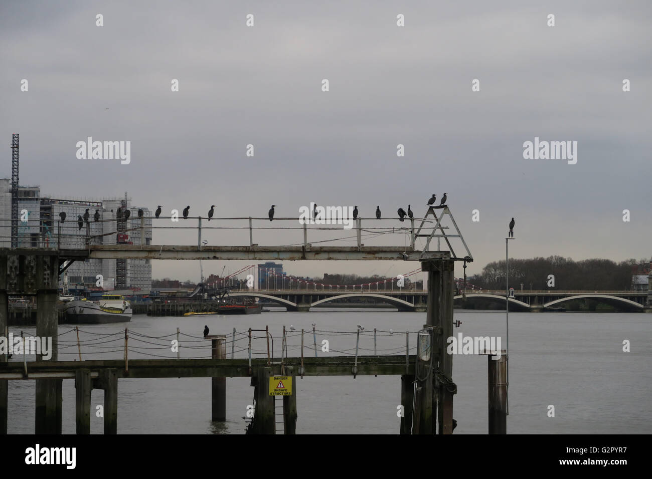 birds, seagulls, pigeons on pier against bridge, clouds, river thames ...