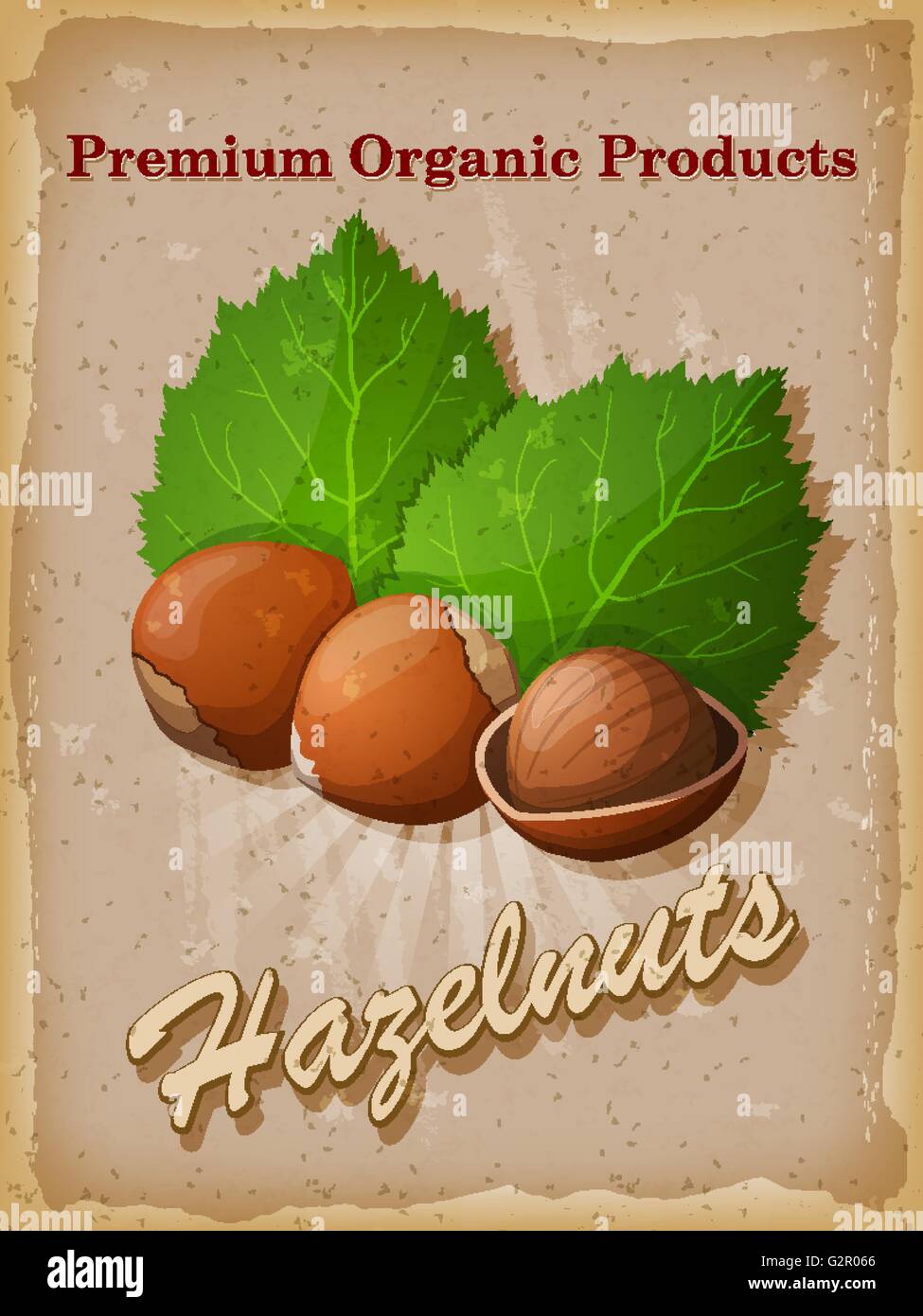 Hazelnuts vintage poster. Vector illustration Stock Vector Image & Art ...