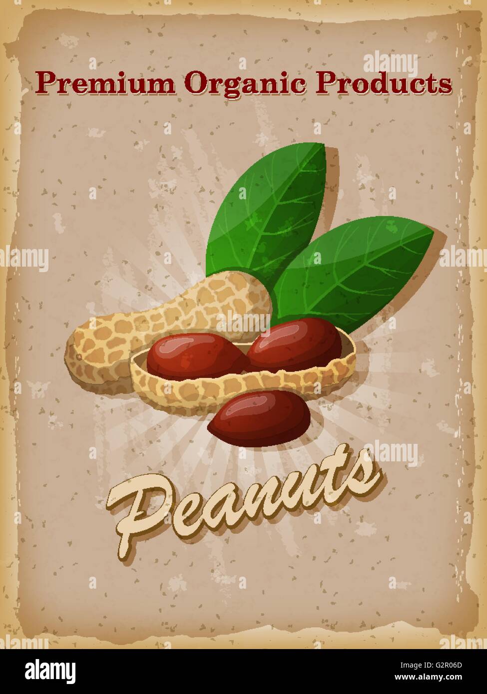 Peanuts vintage poster. Vector illustration Stock Vector Image & Art ...