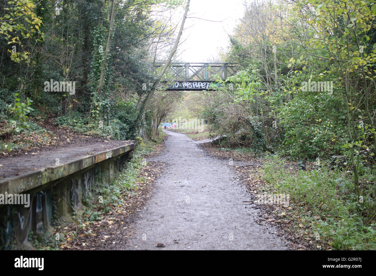 Former railway, path through wooded area under footbridge Stock Photo ...