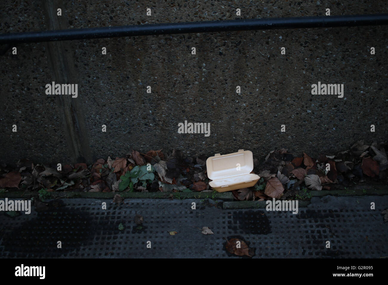 Discarded plastic fast food box against dead leaves, concrete Stock ...