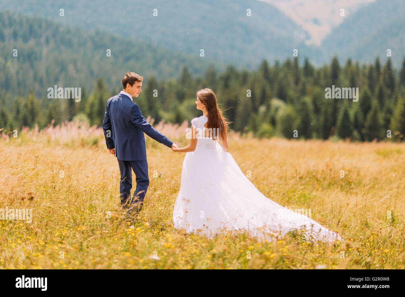 Young wedding couple posing on sunny field with forest hills background ...