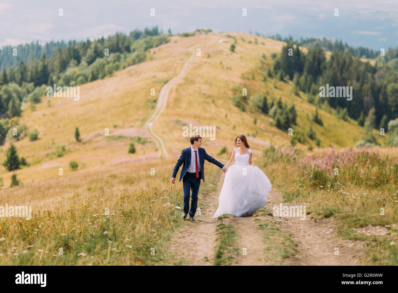 Romantic couple walking on trail across yellow sunny field with forest ...