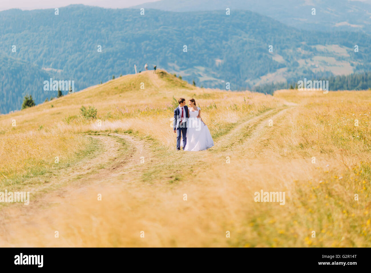 Beautiful young wedding couple walking by trail across golden sunny ...