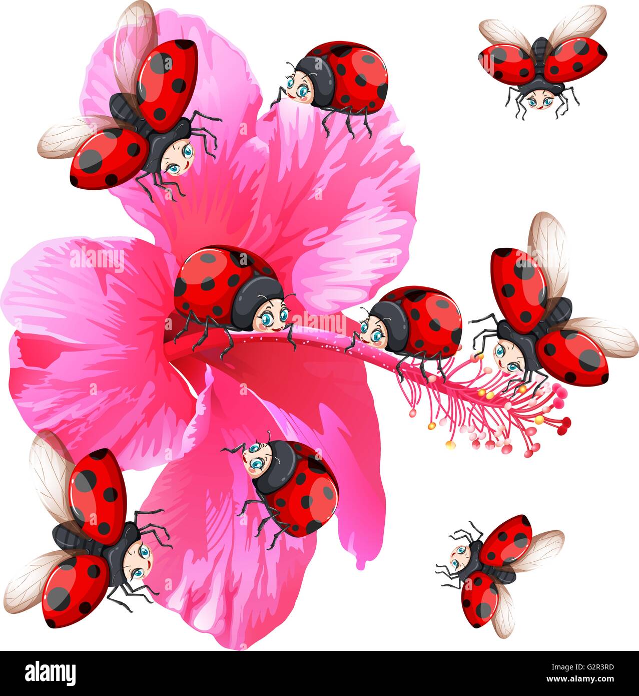 Ladybugs flying around the flower illustration Stock Vector Image & Art ... Ladybugs flying around the flower illustration Stock Vector Image & Art ...