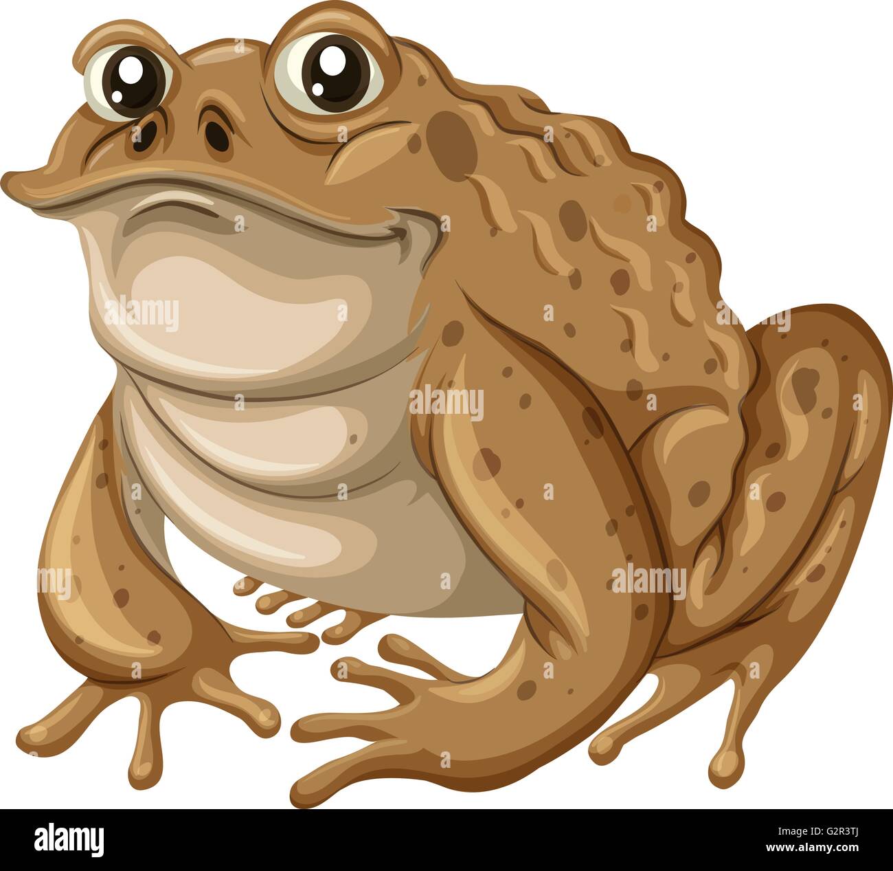 Single frog with brown skin illustration Stock Vector Image & Art - Alamy