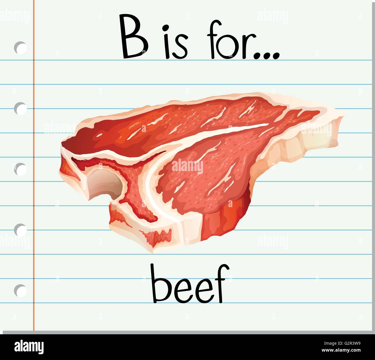 Flashcard letter B is for beef illustration Stock Vector Image & Art ...