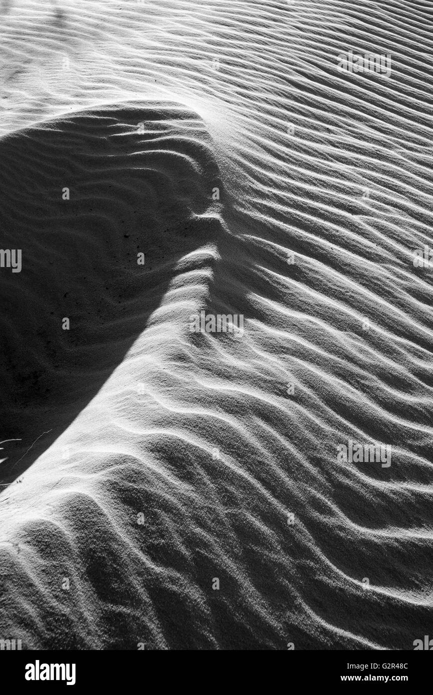 Black and white background of nature on sand hill, amazing wavy pattern ...
