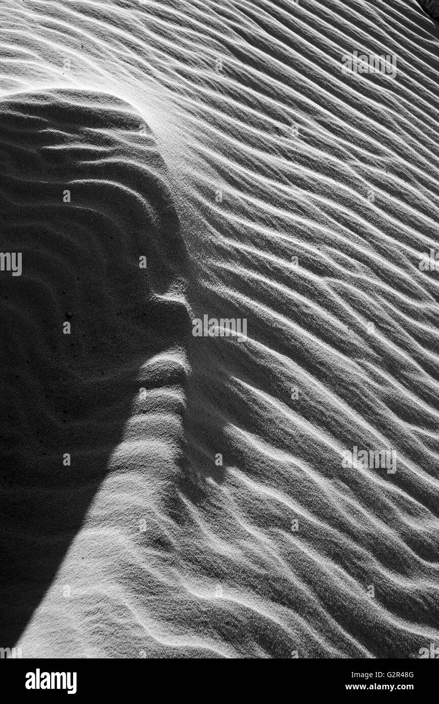 Black and white background of nature on sand hill, amazing wavy pattern ...