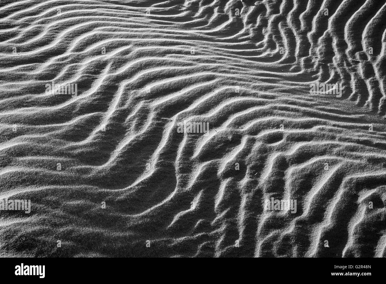 Black and white background of nature on sand hill, amazing wavy pattern ...