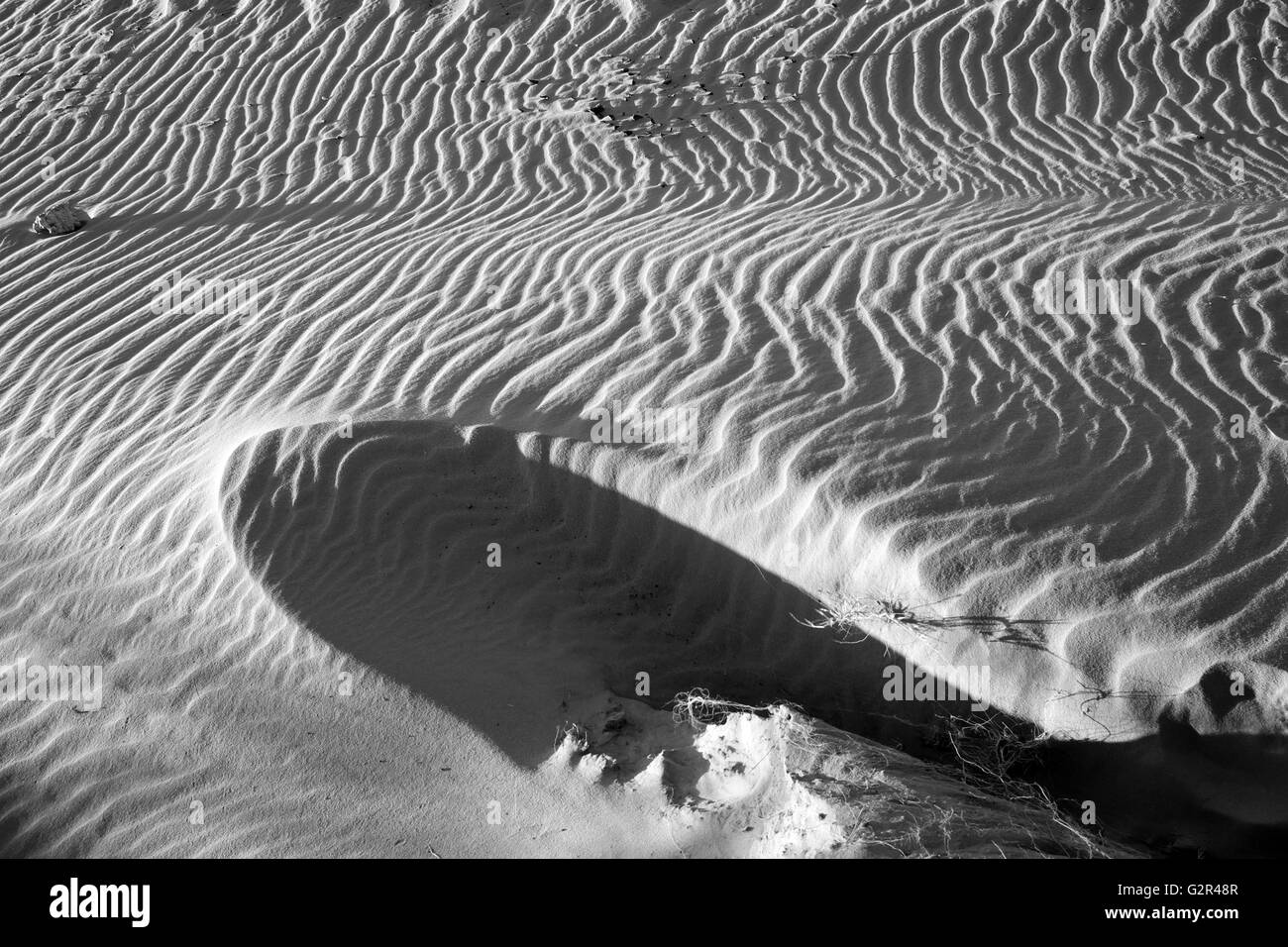 Black and white background of nature on sand hill, amazing wavy pattern ...