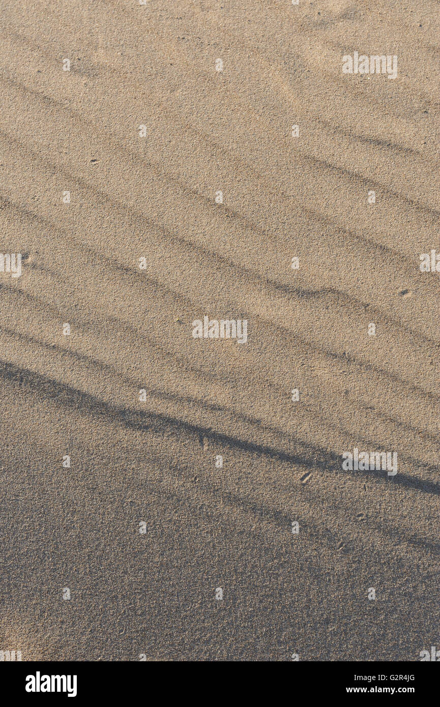 Closeup background of sandy beach Stock Photo - Alamy
