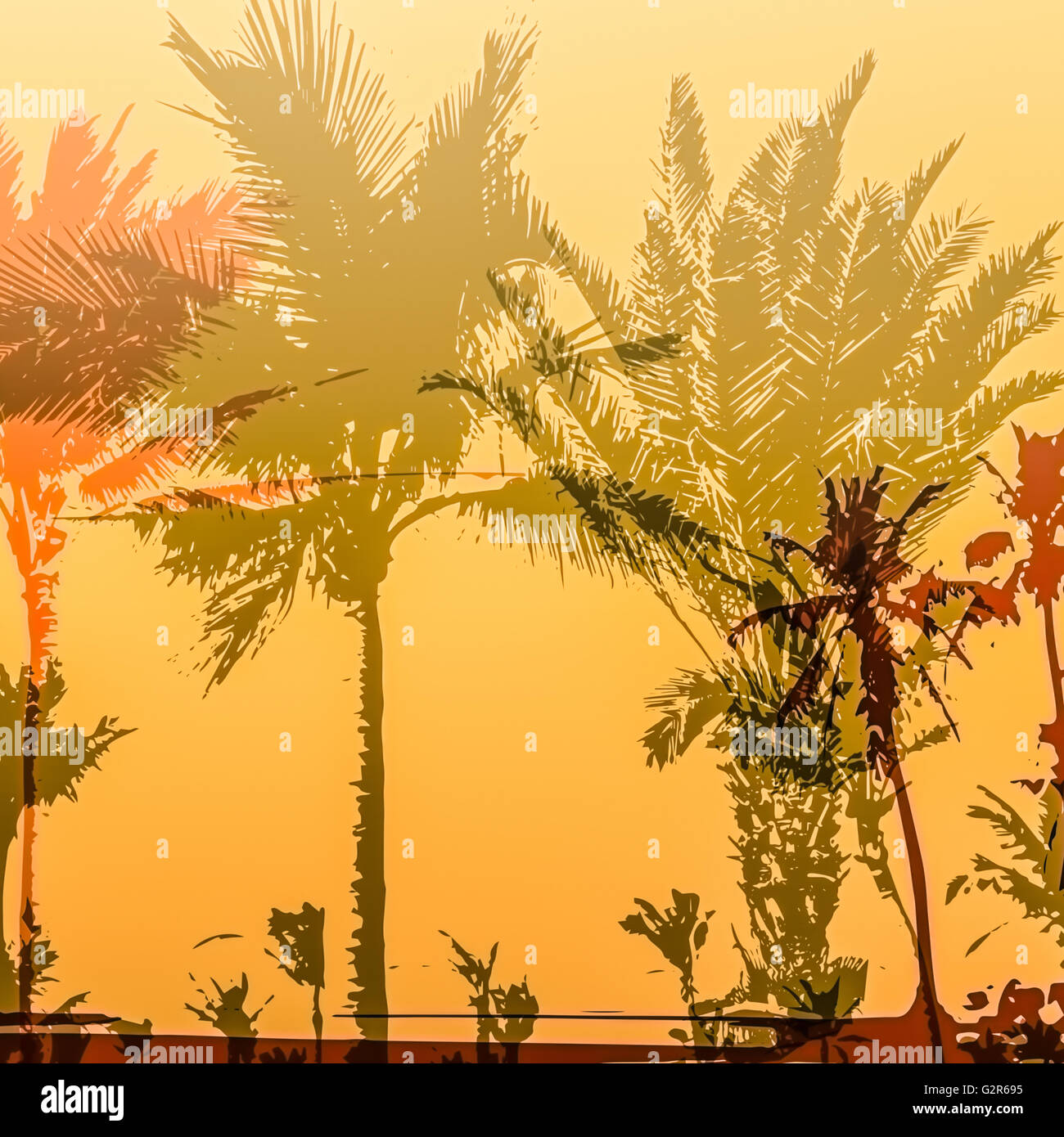 Palm tree print Stock Photo - Alamy