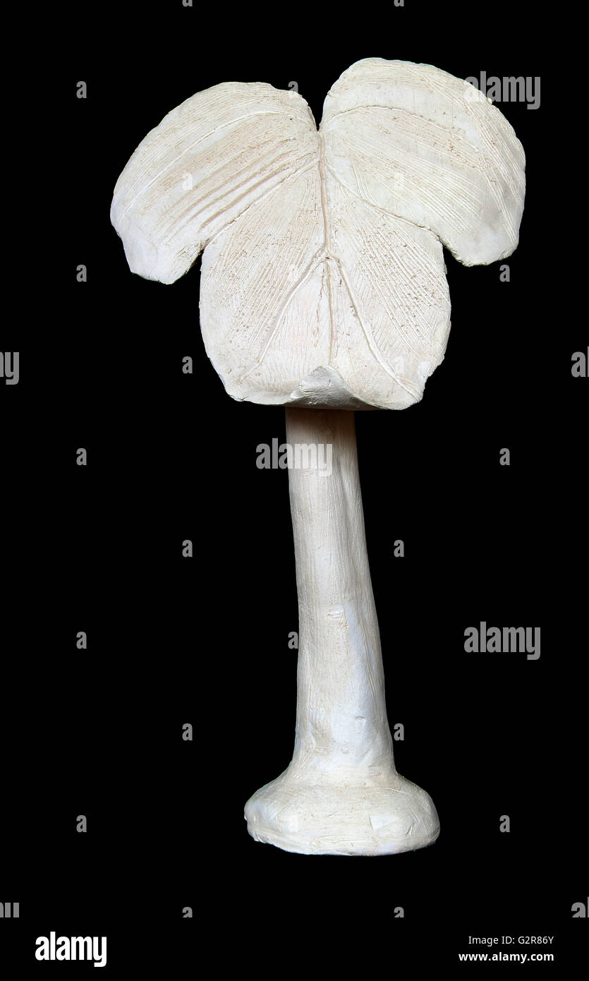 Tree of life sculpture hi-res stock photography and images - Alamy