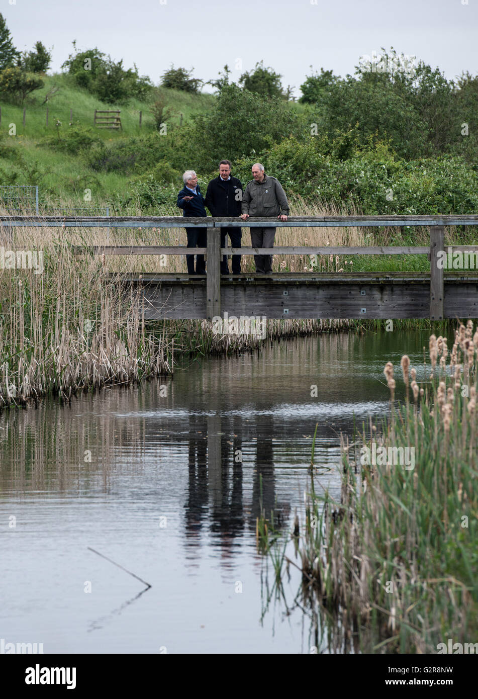 Prime Minister David Cameron is shown around RSPB nature reserve ...