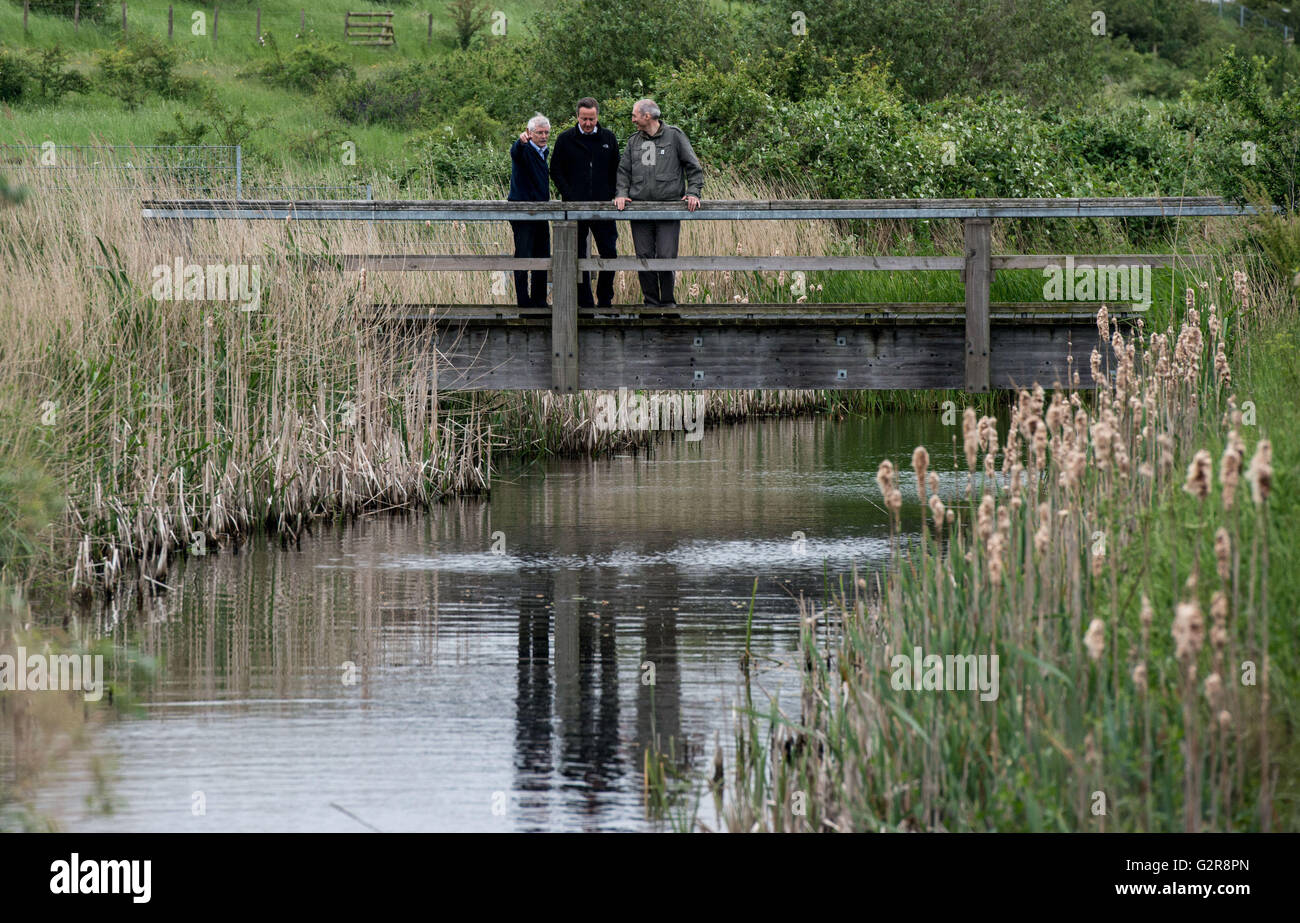 Prime Minister David Cameron is shown around RSPB nature reserve ...
