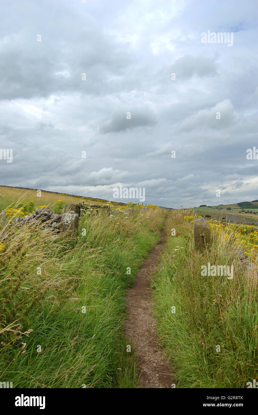 Countryside path Derbyshire in summer with many wildflowers Stock Photo ...