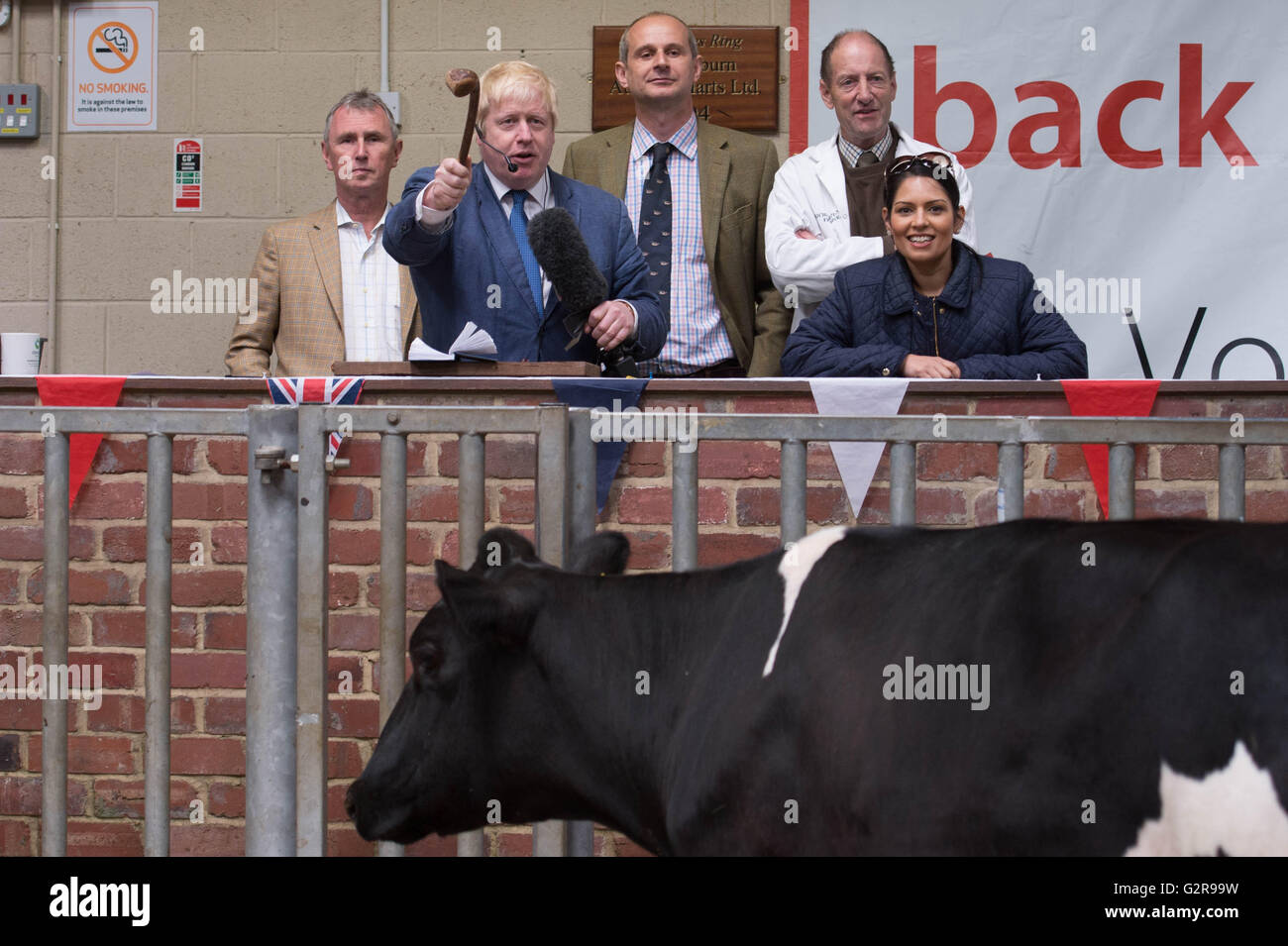 Boris Johnson auctions a cow during a visit to a cattle auction in ...