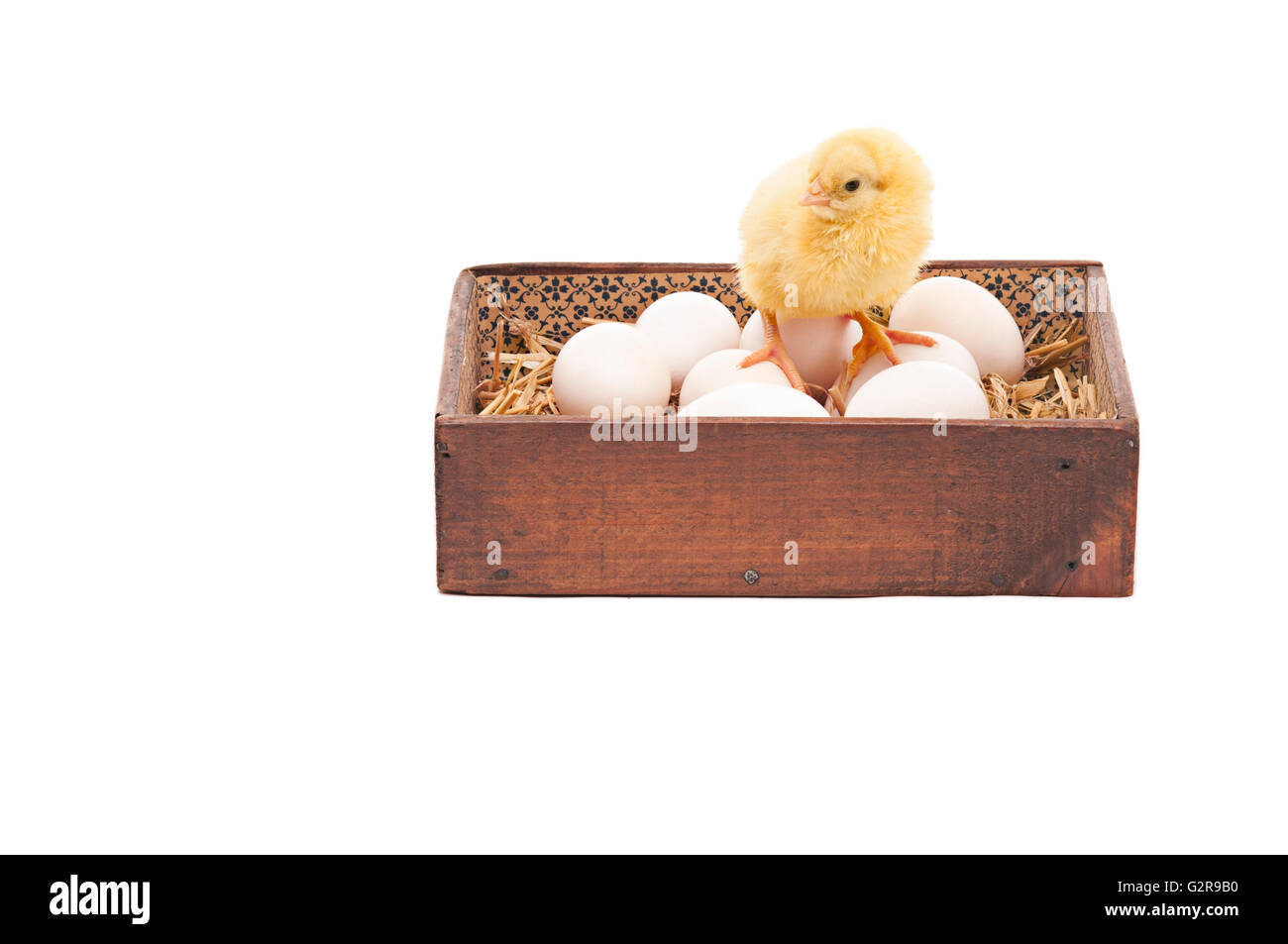 Box eggs cutout hi-res stock photography and images - Alamy