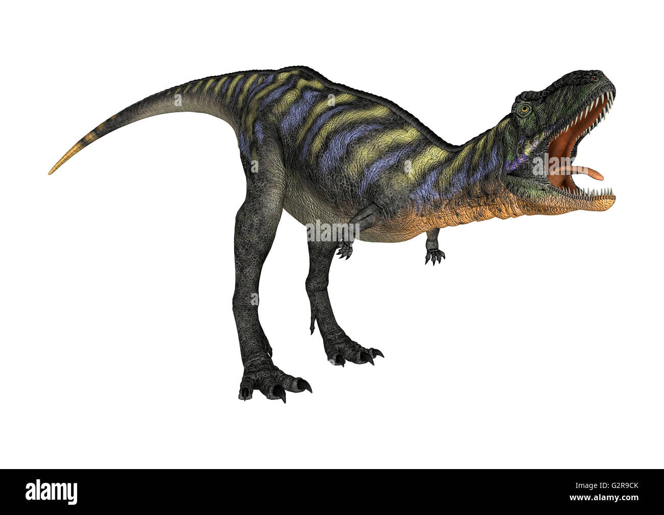 Aucasaurus High Resolution Stock Photography and Images - Alamy