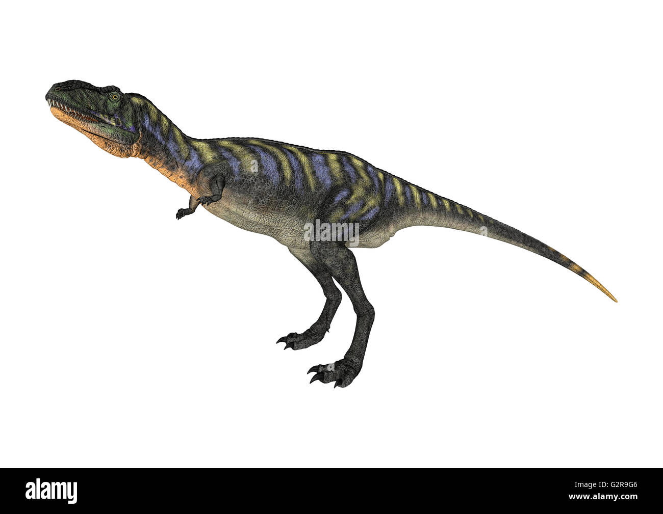 Aucasaurus garridoi hi-res stock photography and images - Alamy