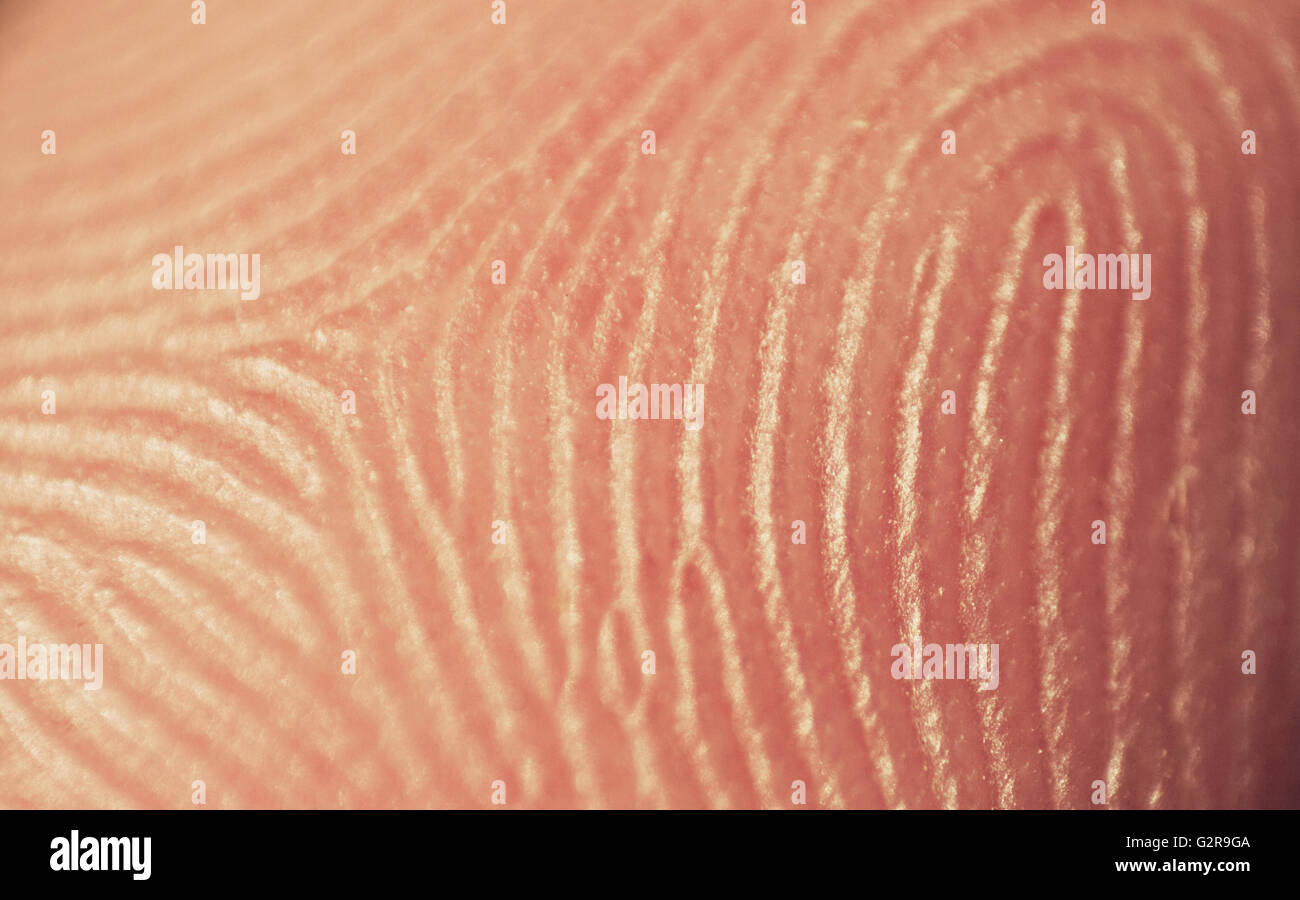 Fingerprint detail hi-res stock photography and images - Alamy